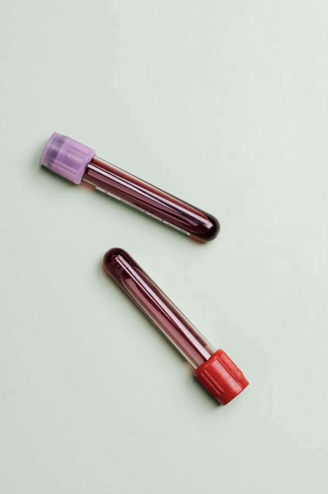 Your Blood Test Guide | The Proof is in the Plants | Simon Hill